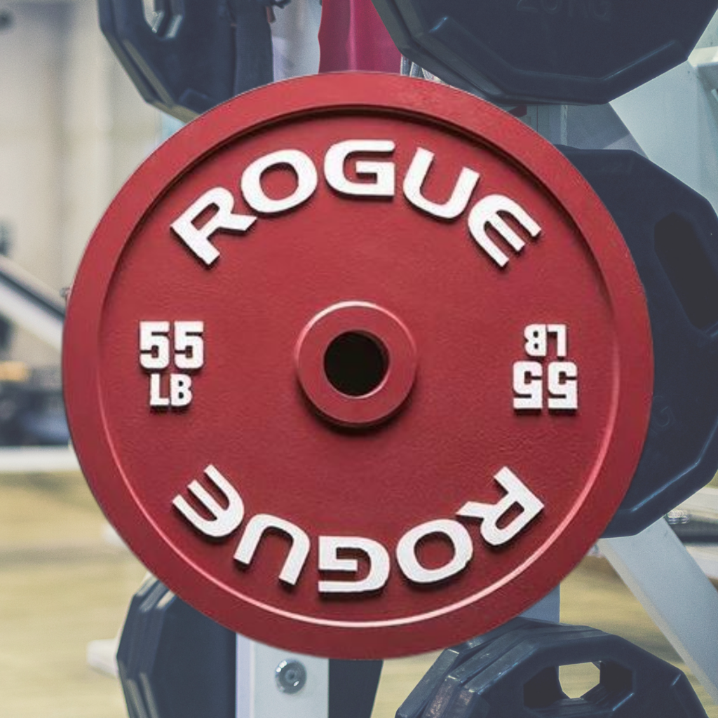 Best Rogue Fitness Weight Plates in 2022 - Barbell Pursuits
